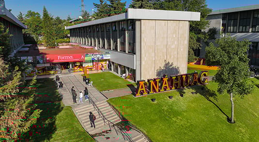 Licenciaturas Universidad Anáhuac México